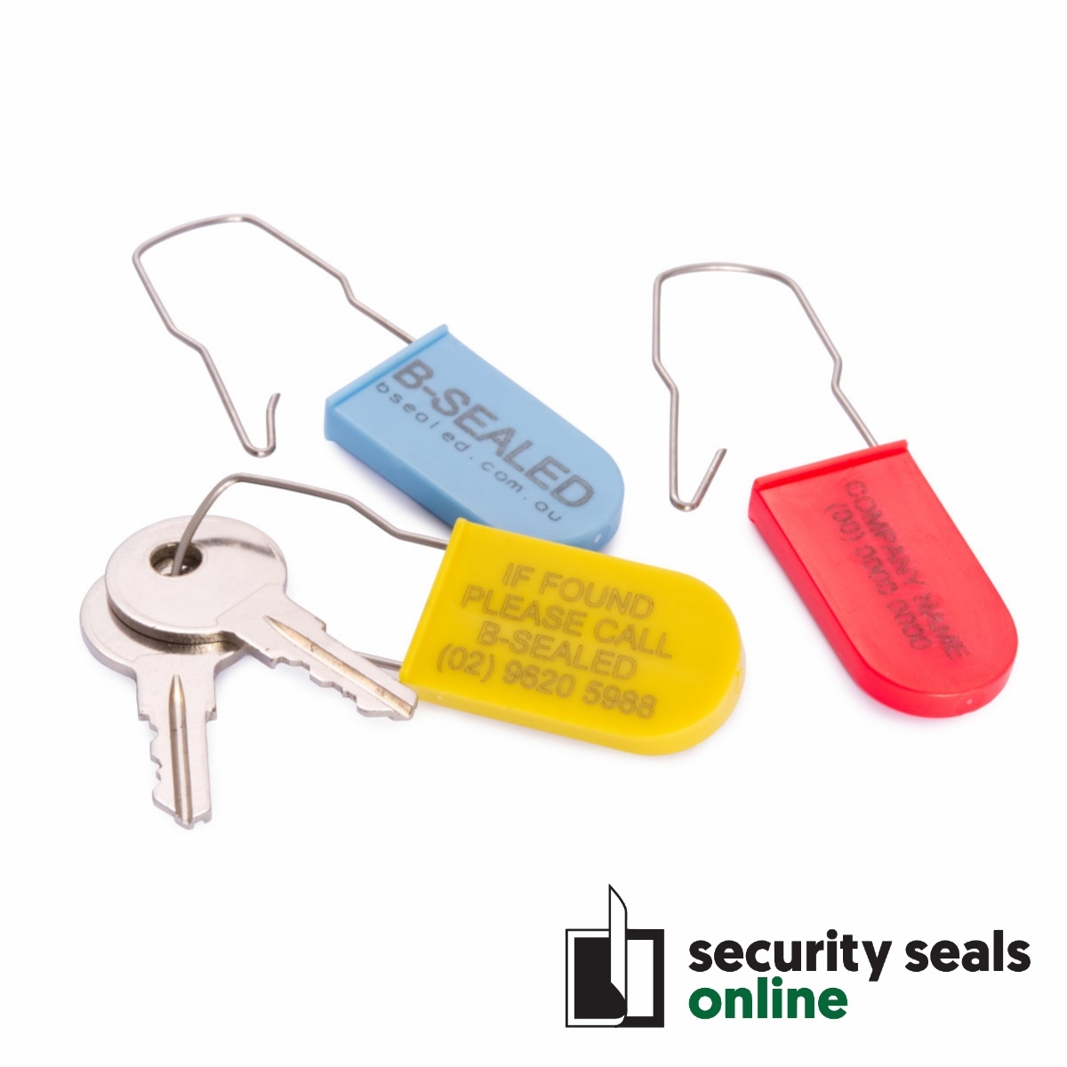 Customised PadLock 2 @ Security Seals Online by B-Sealed